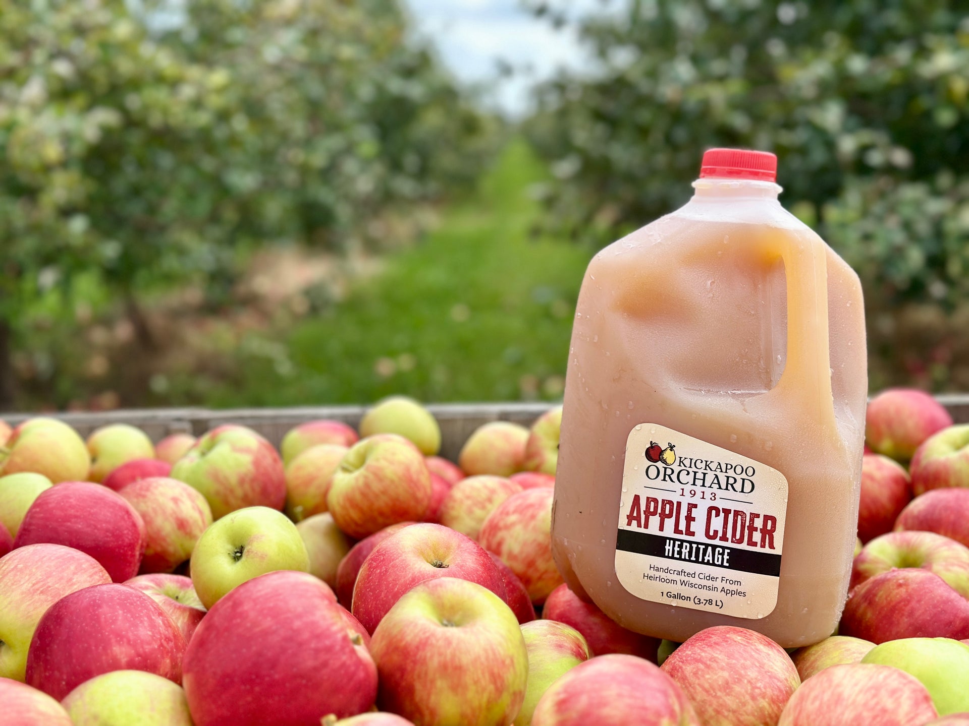 1913 Kickapoo Orchard | Gays Mills Apple Orchard in Wisconsin