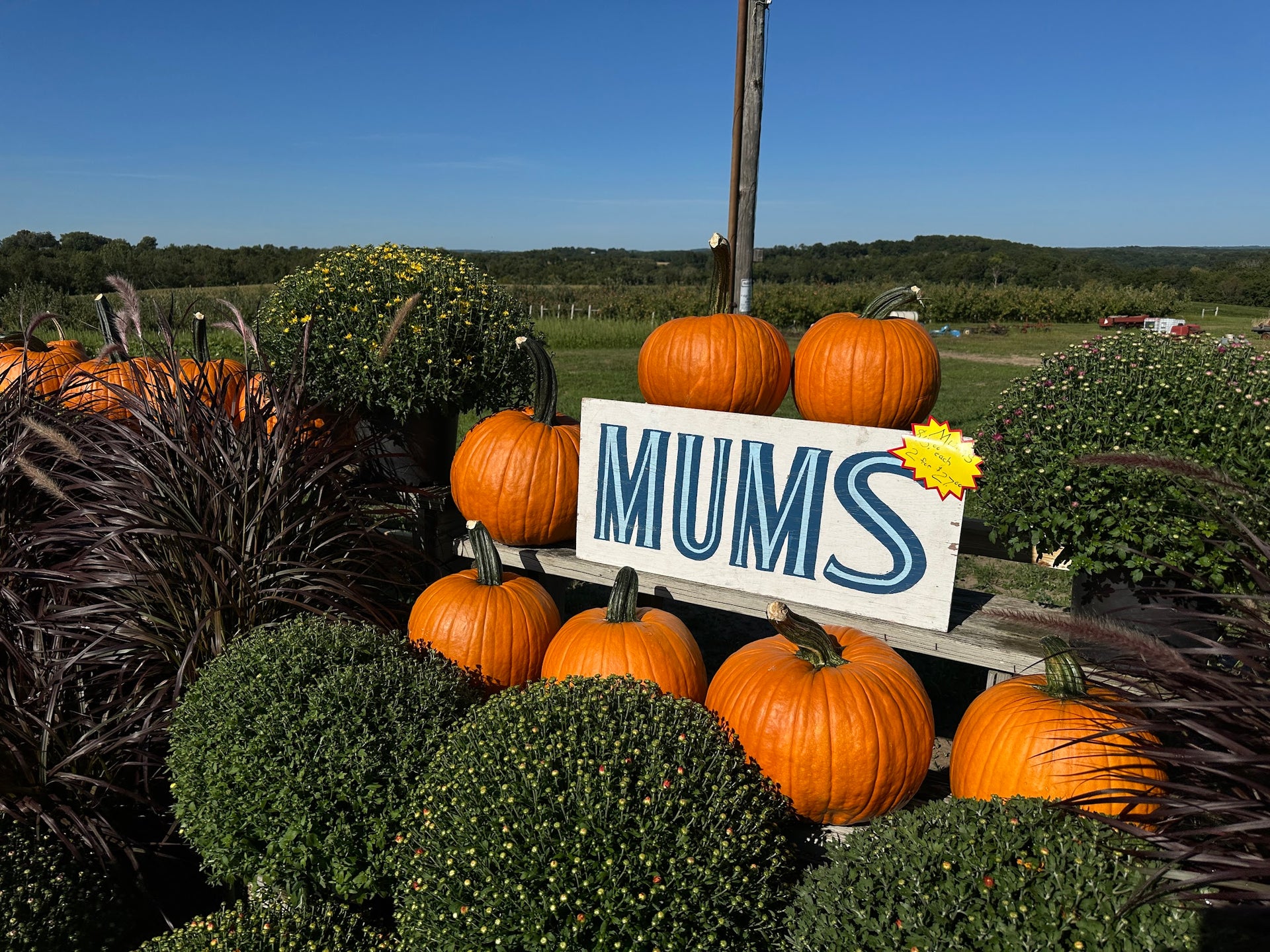 1913 Kickapoo Orchard – 1913 Kickapoo Orchard