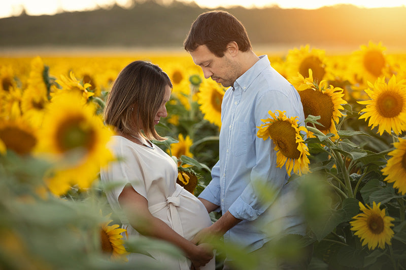 Plan Your Visit to 1913 Kickapoo Orchard | Gays Mills Apple Orchard, WI